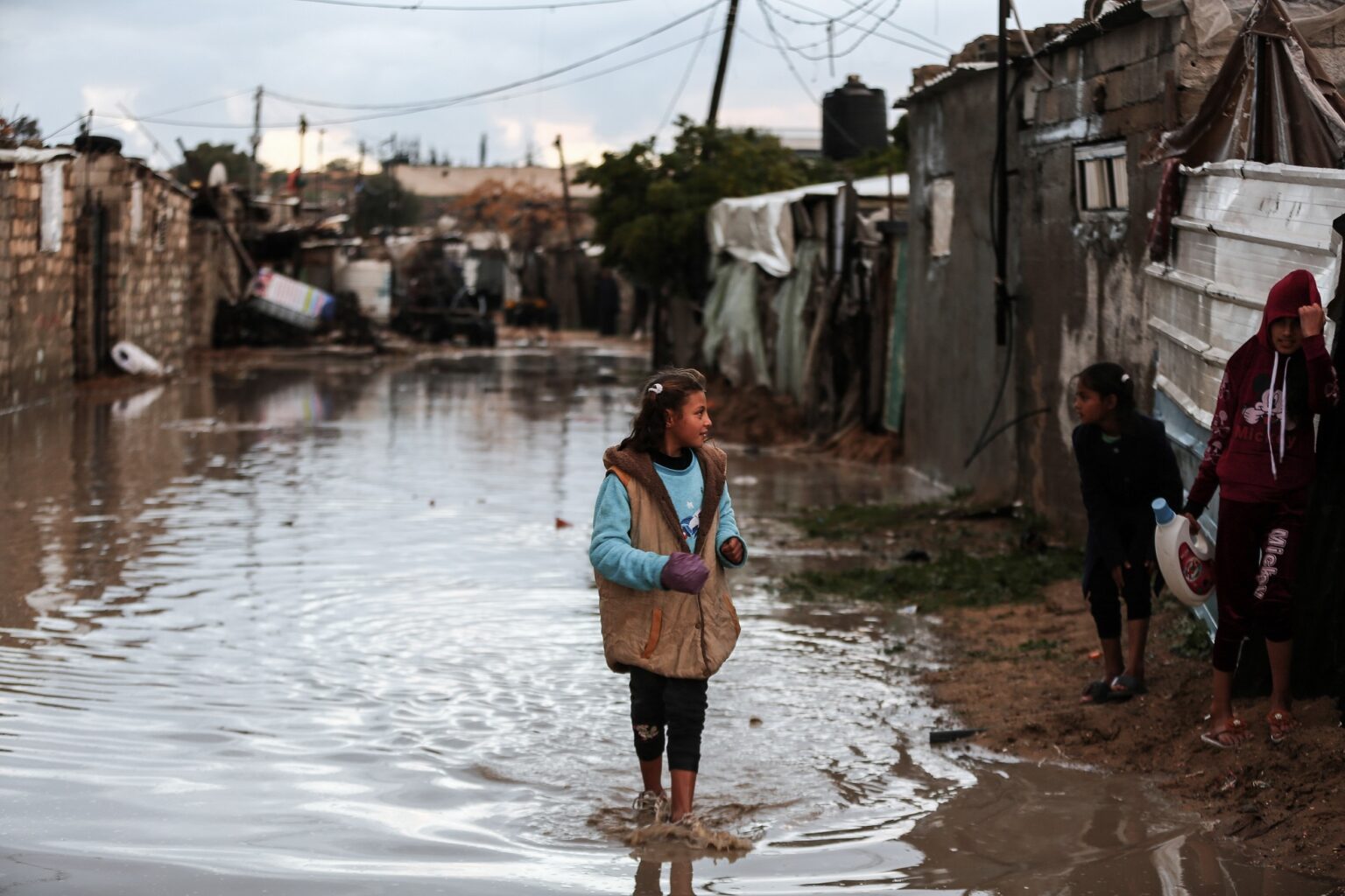 Conflict and Climate: Impact of War on the Environment - levant24