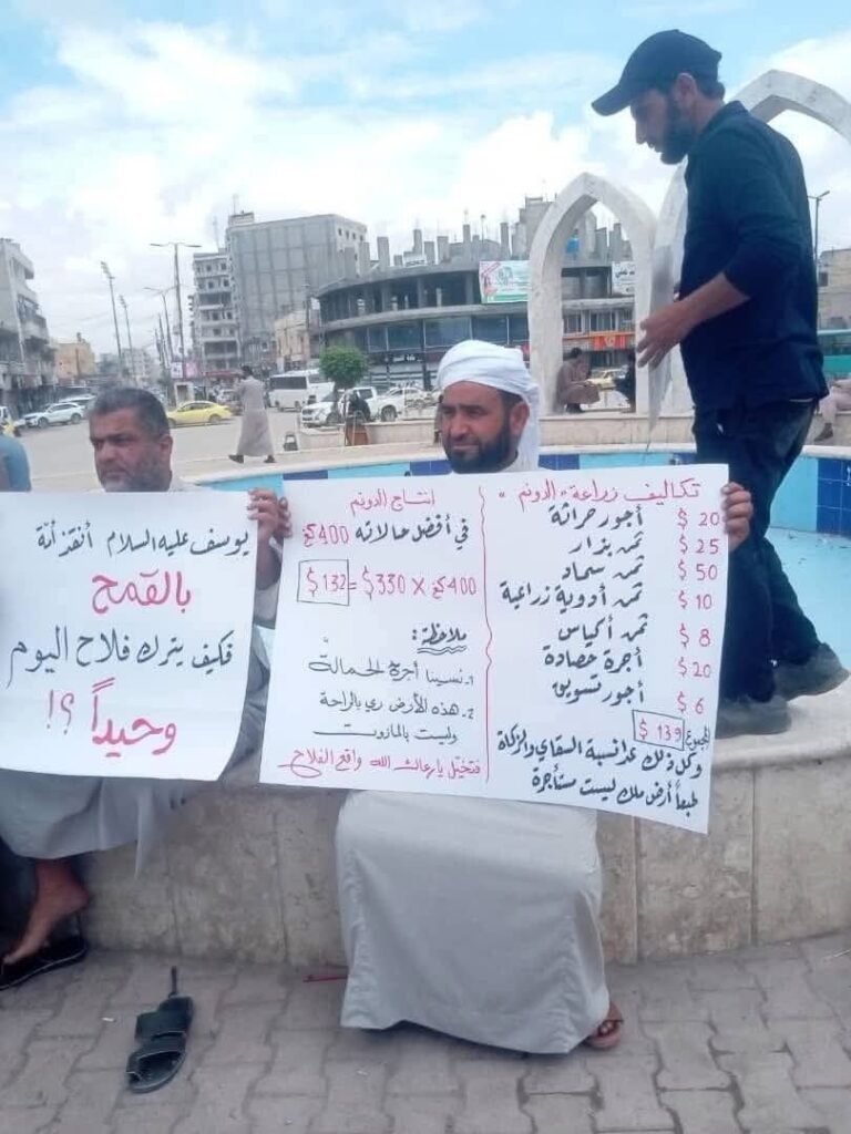 Syrian Farmers: Wheat Production Costs Exceed National Rates - levant24